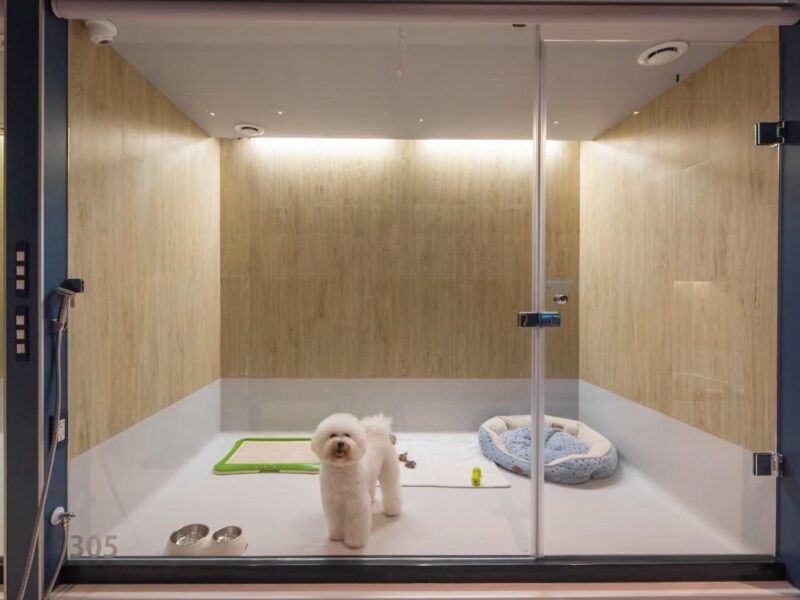 狗-首頁 - 瑋特貓狗